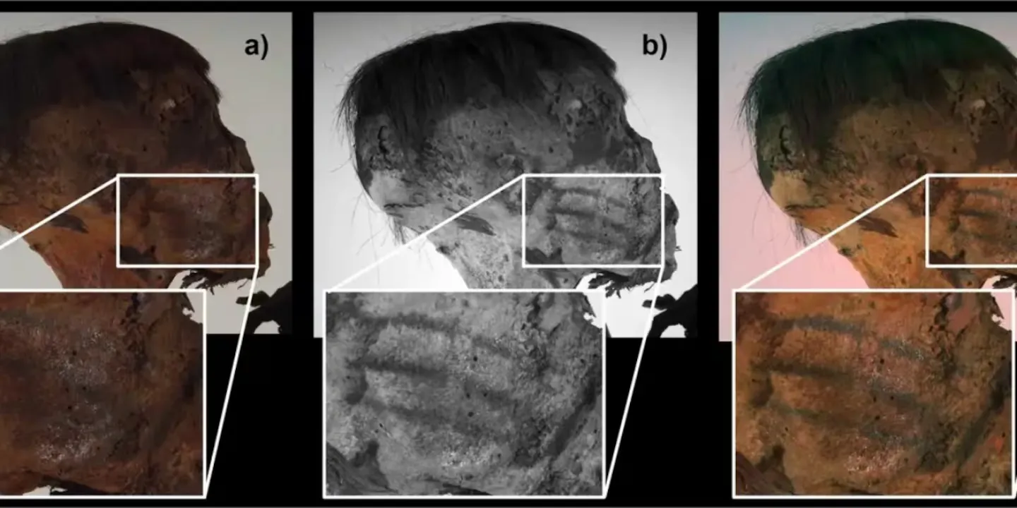 Encontraron una momia de 800 años con tatuajes en la cara y el hallazgo ...